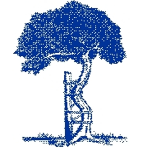 Doctor Orthopaedic Goosefoot (Pes Anserine) Bursitis Of The Knee Near ...